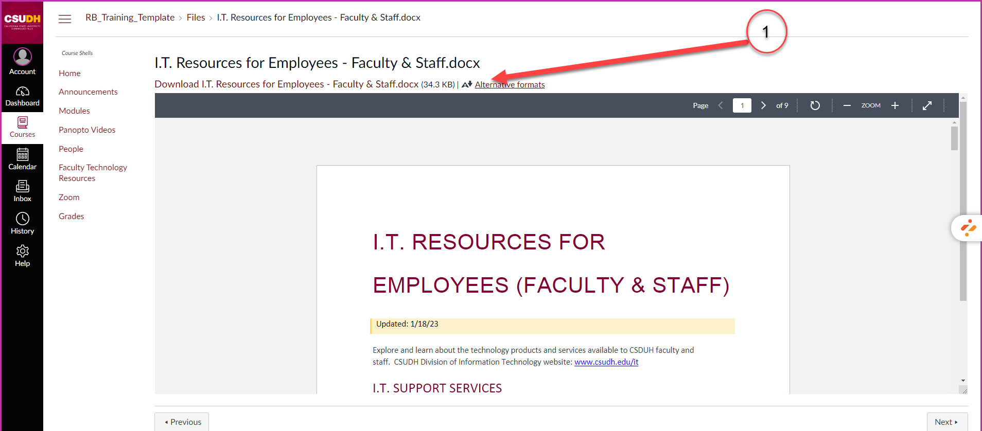 Ally in Canvas – Canvas Resources