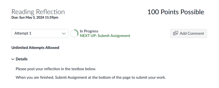 Submit a Text Entry Assignment – Canvas Resources